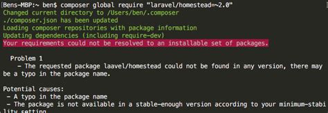 laravel homestead composer global require is trying to find an