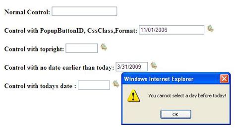 ajax calendar control date format