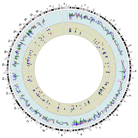 circlegraph a generic tool to create versatile circular graphs
