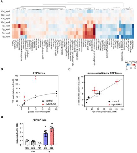 Figure Supplement 1 A Hierarchical Clustering Heatmap Of Metabolites