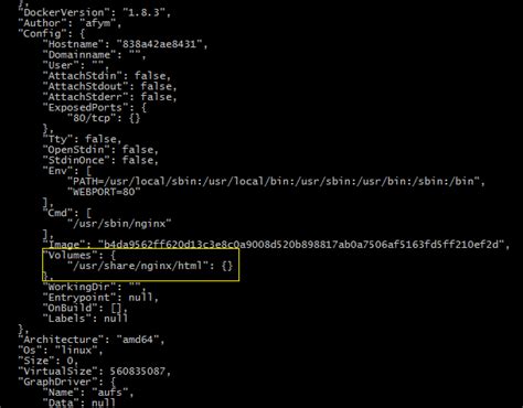dockerfile docker toolbox mount file on windows stack overflow