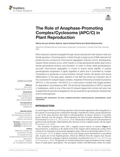 Pdf The Role Of Anaphase Promoting Complex Cyclosome Apc C In Plant