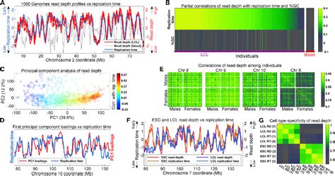 Figure 2 From Genetic Variation In Human Dna Replication Timing