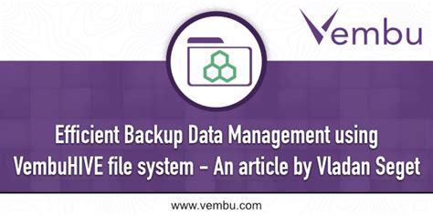 efficient backup data management using vembuhive file system