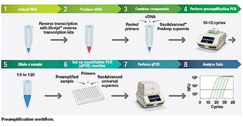 Real Time Pcr Principle Process Markers Advantages Applications