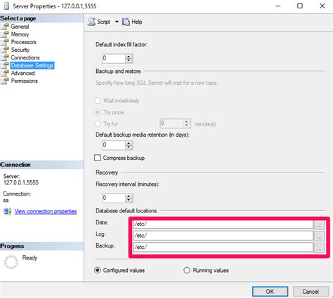 sql server on docker with new environment variables