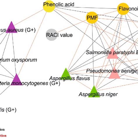 Visualization Of The Correlation Networks Between The Identified