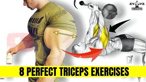 8 Tricep Exercises For Massive Arms Triceps Workout At Gym Bigger