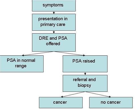 Flow Diagram Depicting The Diagnostic Pathway For Prostate Cancer