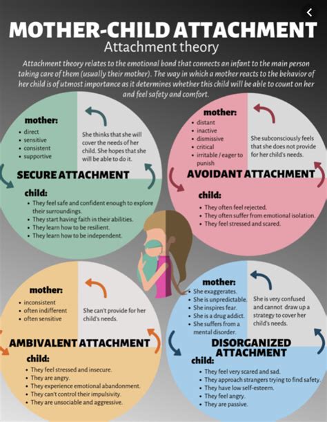 The Most Basic Concept Of Attachment Theory Is That Quizlet