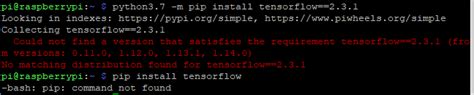 python how to load tflite weights in raspberry pi
