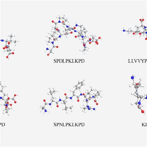Three Dimensional Structure Of The Peptide The Diagram Shows The 3d