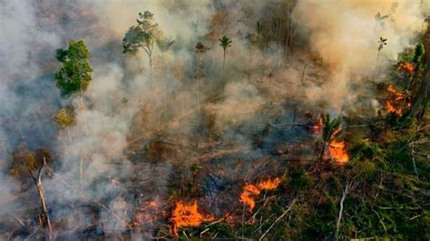 Não é Só O Pantanal Incêndios Florestais Pelo Mundo São Os Maiores Em