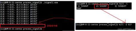 linux——进程信号详解 橙予清的zzz~的博客 csdn博客