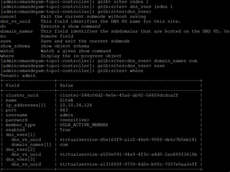 selective assignment of a gslb service to dns virtual services