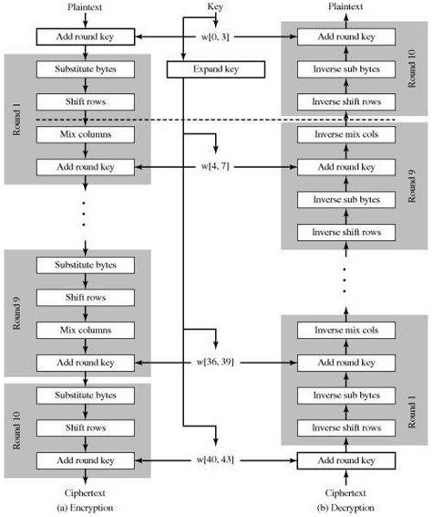 the overall structure of aes algorithm download scientific diagram