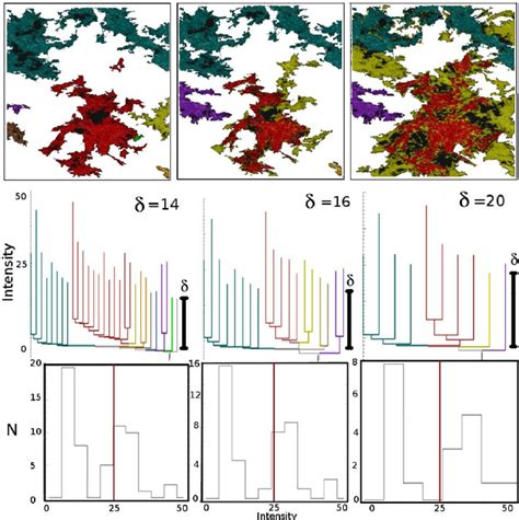 Different Ways Of Viewing Dendrogram Information Used In This Work