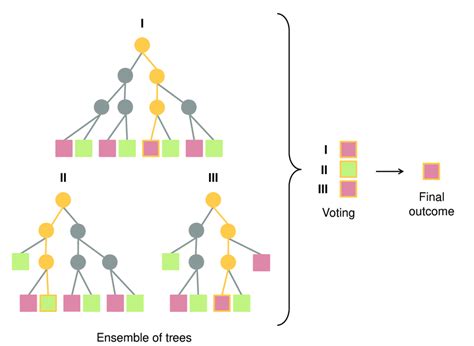 9 random forest an ensemble of three decision trees is shown forming