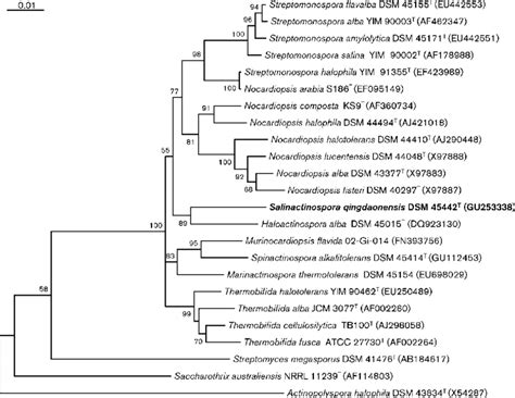 Phylogenetic Dendrogram Obtained By Neighbour Joining Analysis Based On