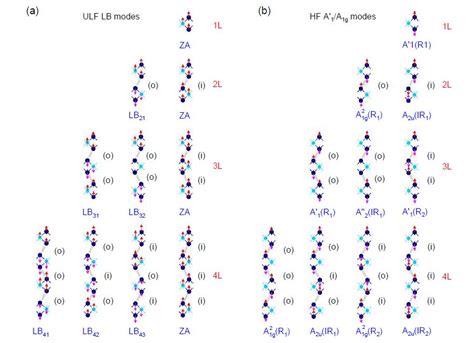 Layer Number Dependent High Frequency Vibration Modes In Few Layer