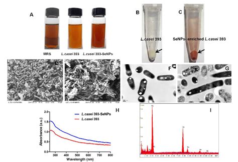 Figure 1 From Biogenic Synthesis Of Novel Functionalized Selenium