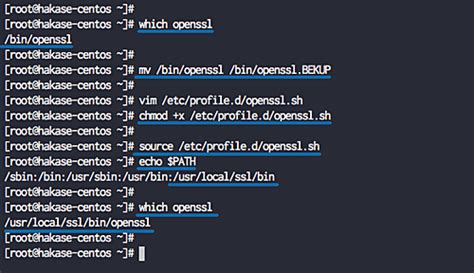 how to install the latest openssl version from source on linux