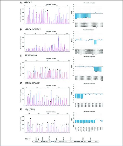 Examples Of Cnv Detection In The Genes Tested Comparison Of Wild Type