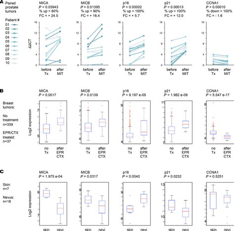 Expression Of Nkg2d Ligands In Human Senescent Tissues A Pairwise