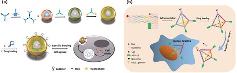 A Schematic Of A Controllable Aptamer‐based Self‐assembled Dna