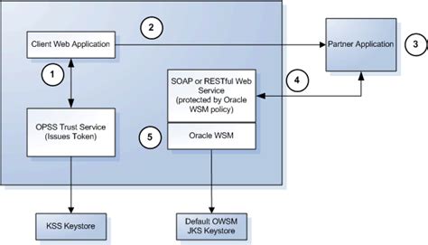 setting up your environment for policies