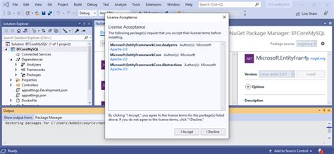 use entity framework core 5 0 in net core 3 1 with mysql