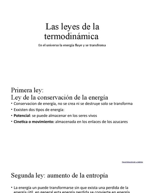 Las Leyes De La Termodinámica Pdf