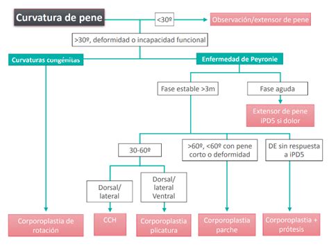 androgenital al servicio de la salud sexual del hombre