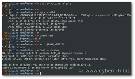how to install bash shell in alpine linux