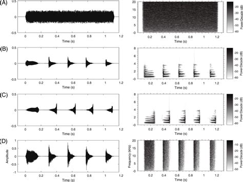Waveforms And Spectrograms Of The Four Stimuli A White Noise Wn B