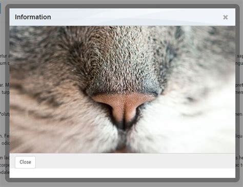 minimal modal popup plugin with jquery modal js free