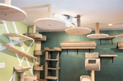 Amazing Cat Superhighway From The Catification Couple • Hauspanther