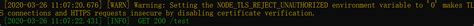 setting the node tls reject unauthorized environment variable to 0