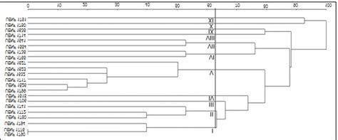Dendrogram Of Genetic Dissimilarity Among 22 Accessions Of Capsicum