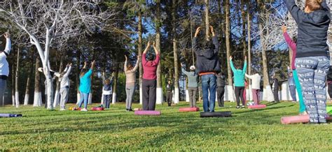 Ejercicios De Zhineng Qigong Camino Con Corazon México