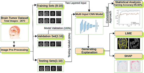 Frontiers Explanation Driven Deep Learning Model For Prediction Of
