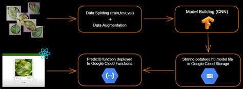 Github Hamagistral Potato Disease Classification 🥔 Potato Disease