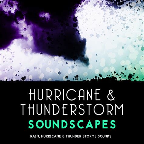 Bird Song In April Showers Song And Lyrics By Rain Hurricane