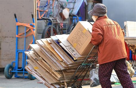 올해부터 月소득 228만원 이하 노인 1인가구는 기초연금 노컷뉴스