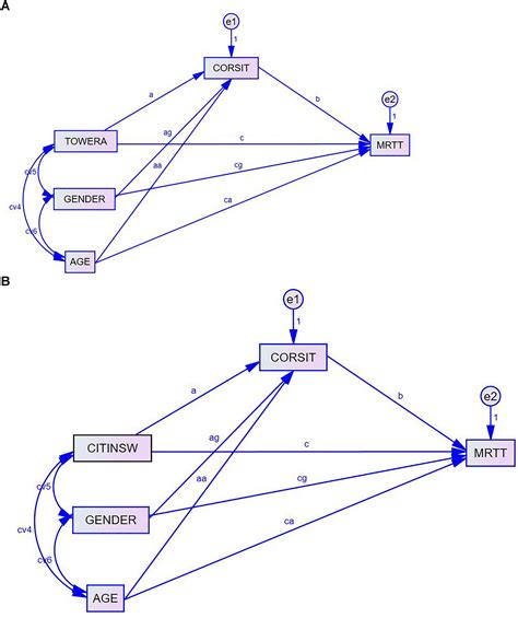 Frontiers Visuospatial Working Memory Mediates The Relationship