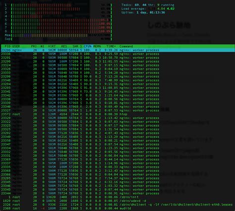 amazon ec2 nginx worker process this many is normal server fault