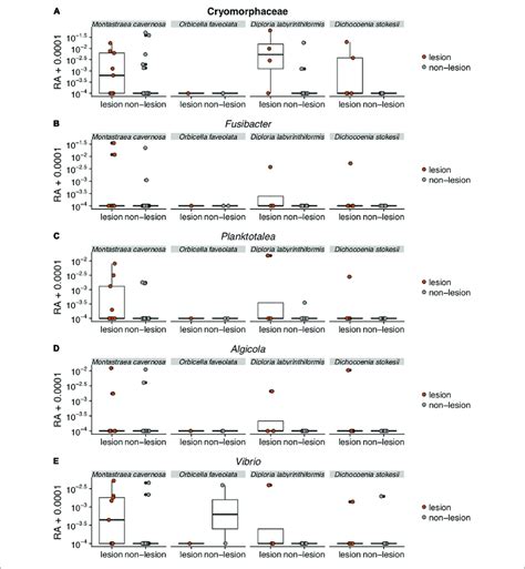 Relative Abundance Ra Of The Five Amplicon Sequence Variants