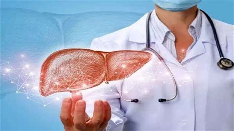چگونه می توان خطر ابتلا به سرطان کبد را کاهش داد؟ بازتاب آنلاین