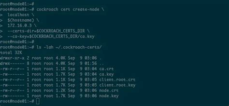 how to deploy secure cockroachdb cluster on ubuntu 20 04 server