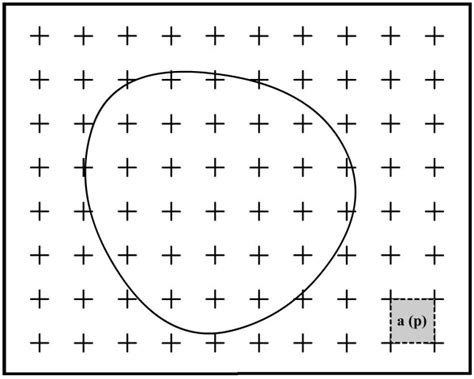 The Point Counting Method For Estimation Of The Cross Section Area Of